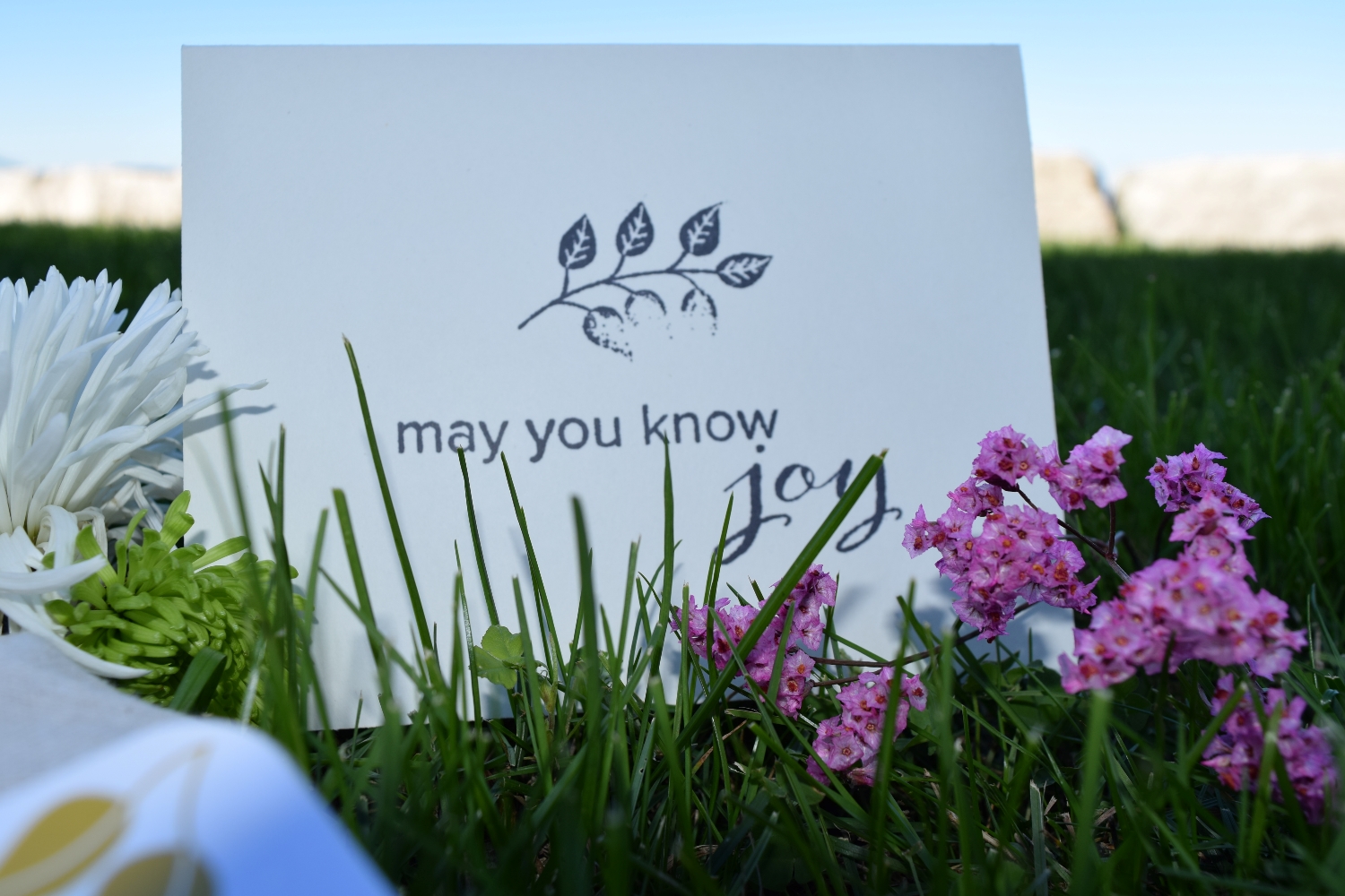 May You Know Joy - body follow mind
